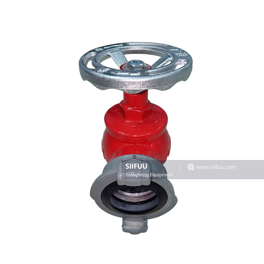Landing Valve, With Gost Coupling, Heavy Duty. – SIIFUU